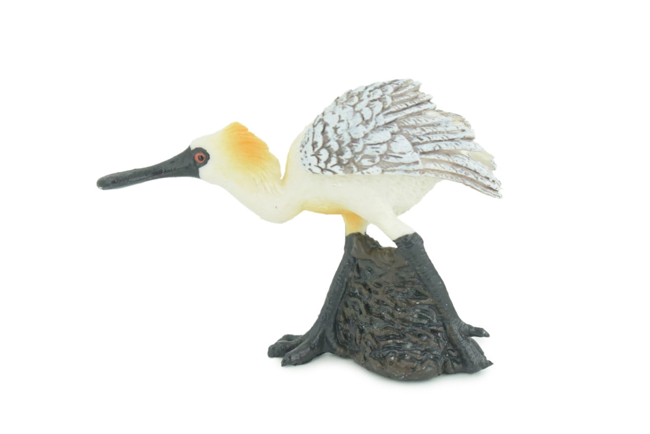 Black Faced Spoonbill, Museum Quality, Educational, Hand Painted ...