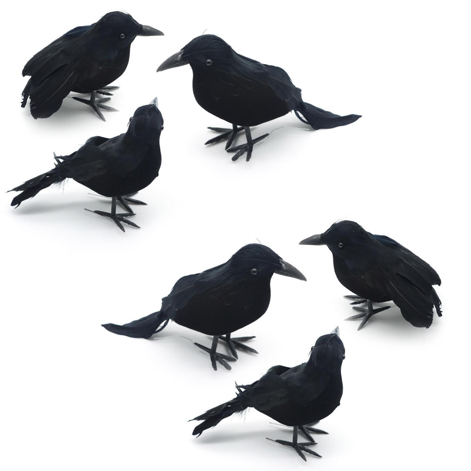 Black Feathered Crow Ornaments: 6-Pack for DIY Halloween Decor, Indoor ...