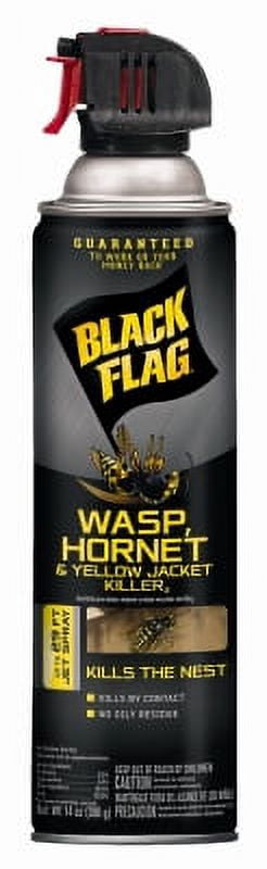 Black Flag 14 OZ Wasp Hornet & Yellow Jacket Killer Kills On Contact U ...