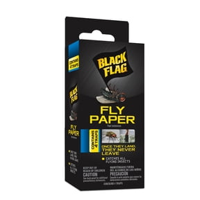 Sticky Fly Paper