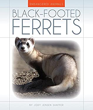 Pre-Owned Black-Footed Ferrets (Library Binding) 9781631439650 ...