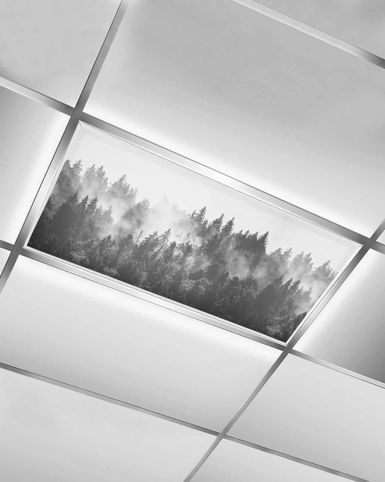 Black Forest Fluorescent Light Covers for Ceiling Lights 4x2 feet,1 ...