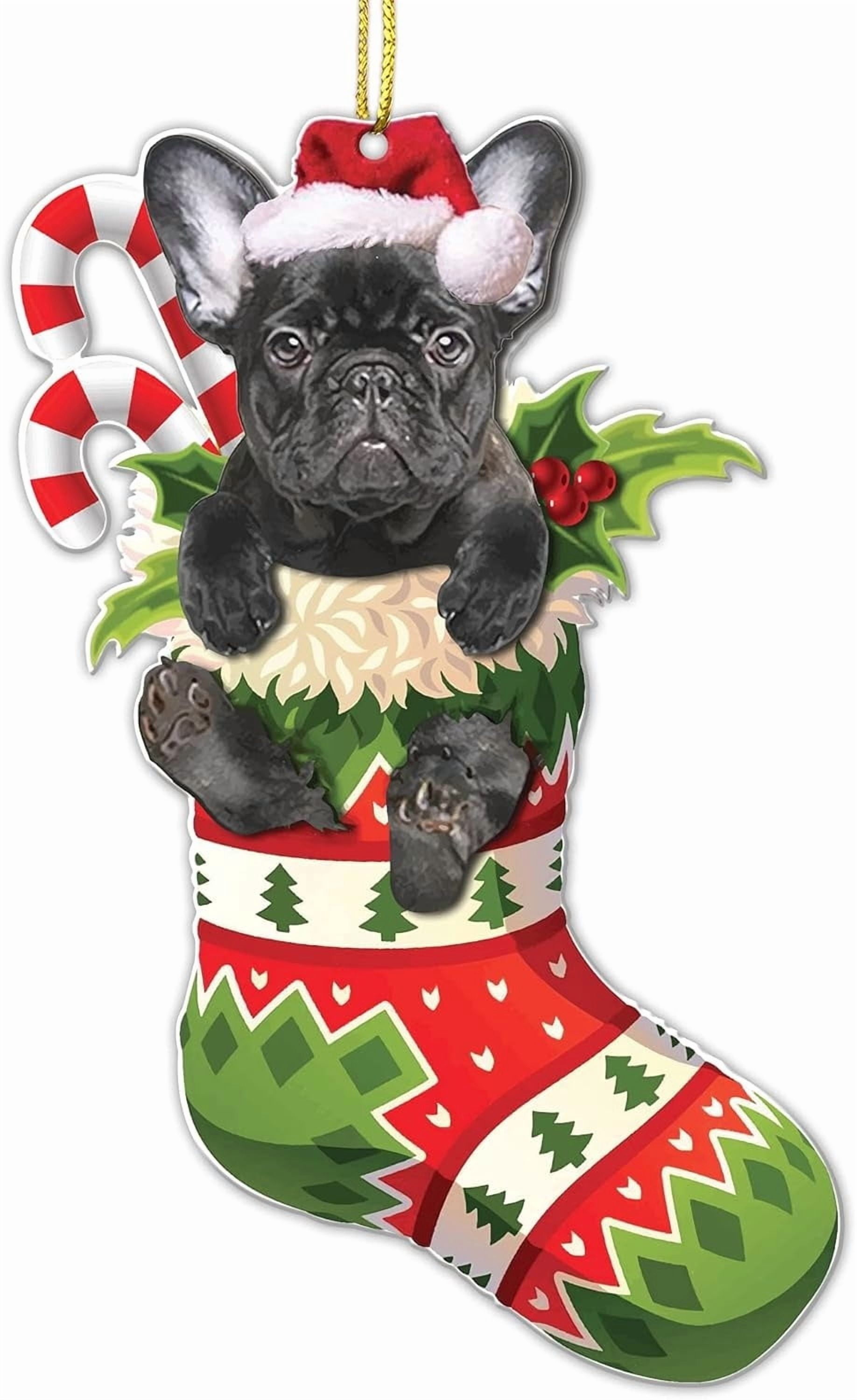 Black French Bulldog Acrylic Christmas Ornament – Frenchie Puppy in ...
