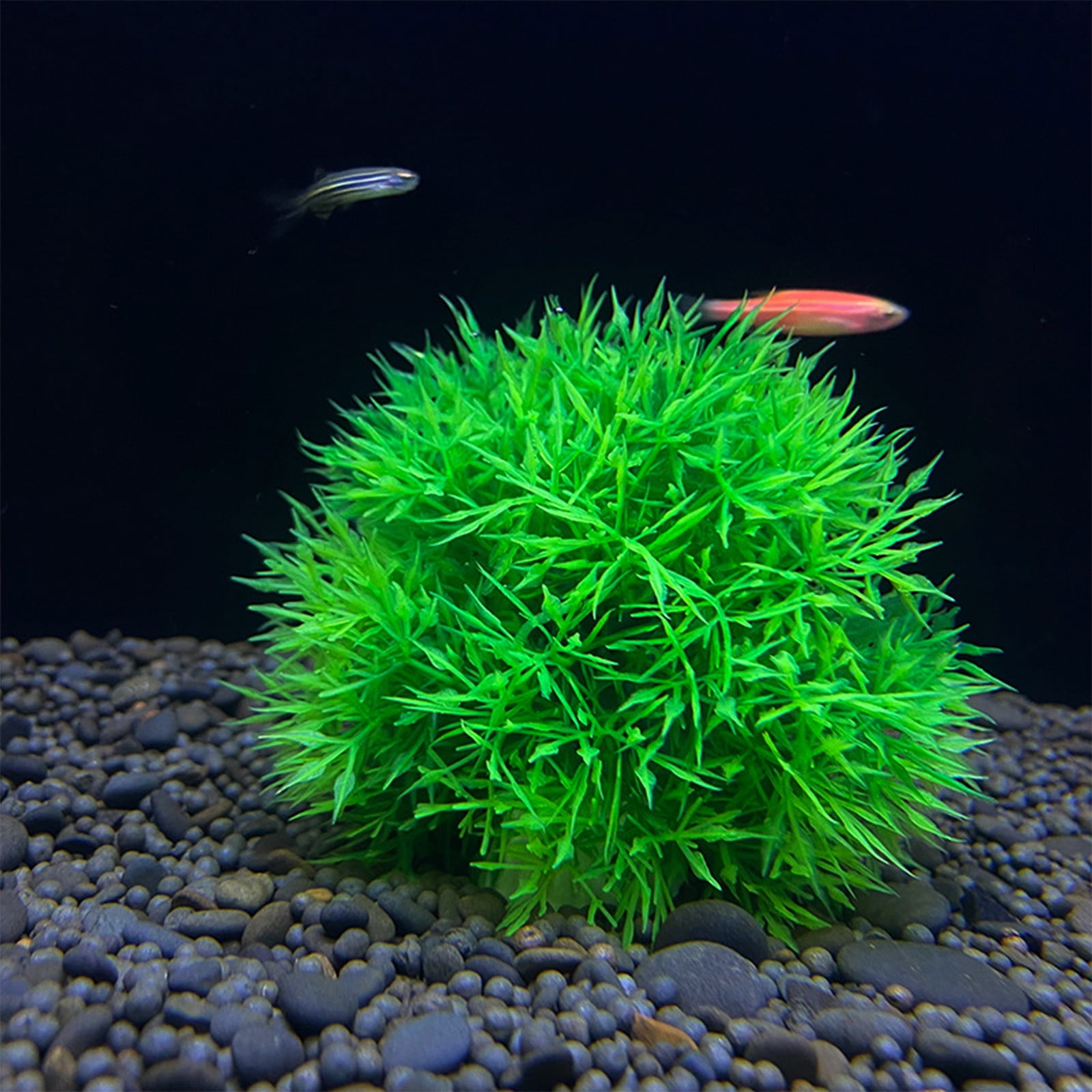 Nrmrqz Aquarium Simulation Aquatic Grass Fish Tank Aquascape Decoration ...