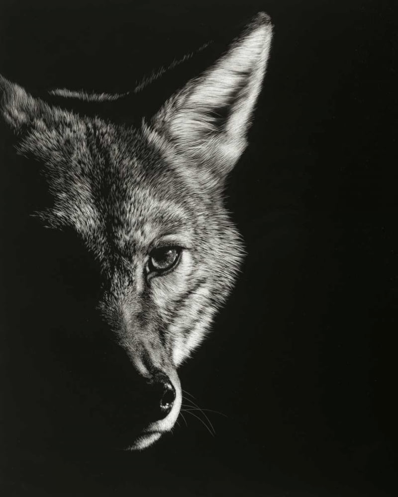 Black Glimpse VI Poster Print - Julie T. Chapman (18 x 24) - Walmart.com