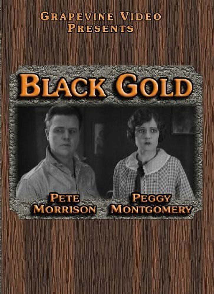 Pre-Owned Black Gold (DVD) - Walmart.com