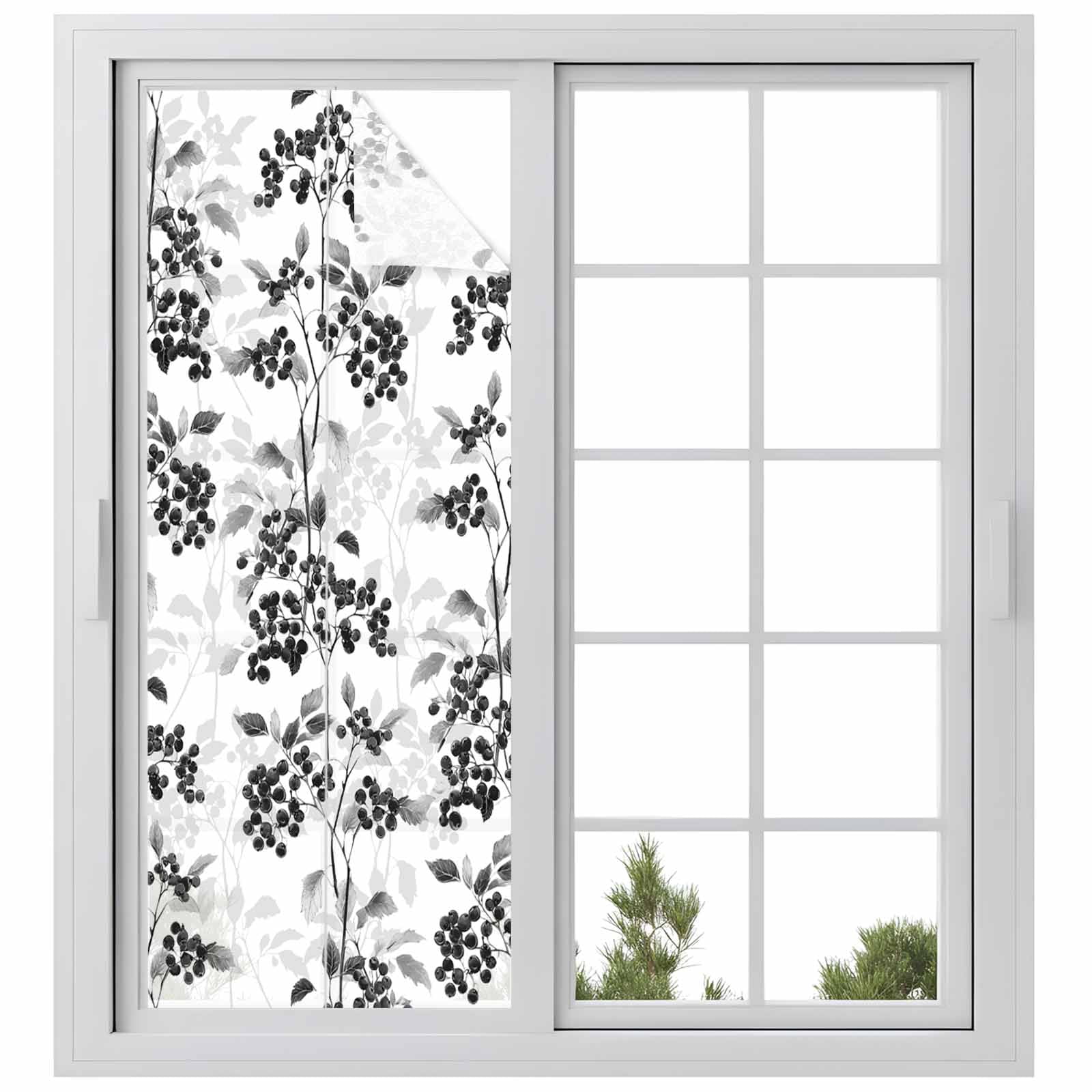 Black Gray Fruit Window Privacy Film, Vintage Plant Nature Botanical ...