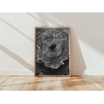 Black Gray Tree Ring Rustic Wood Cross Section Graphic Poster Unframed ...