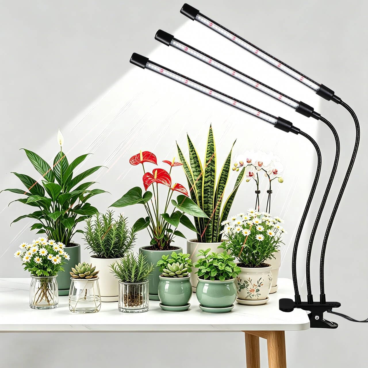 Black Grow Lights for Indoor Plants, 168 LEDs Clip Plant Lights, Full ...