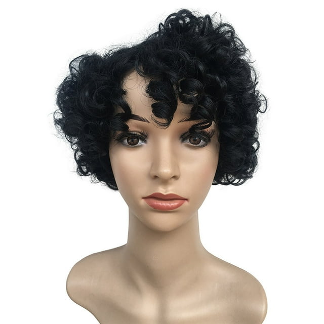 Black Hair Lace Wavy Wave Curly Wig - Synthetic High Temperature Wire ...