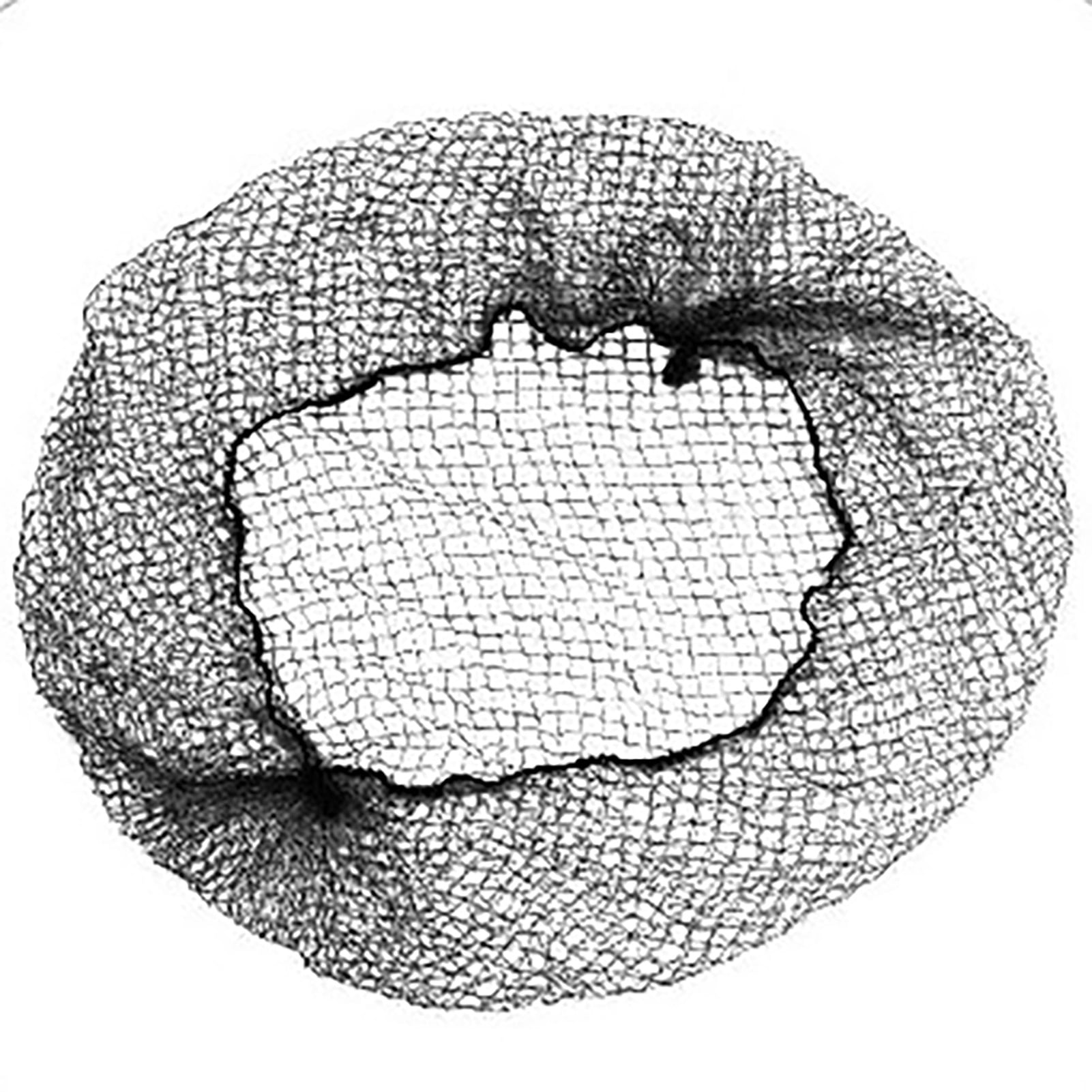 Black Hair Net - Ultra-Thin, Lightweight, and Highly Elastic Nylon Mesh ...
