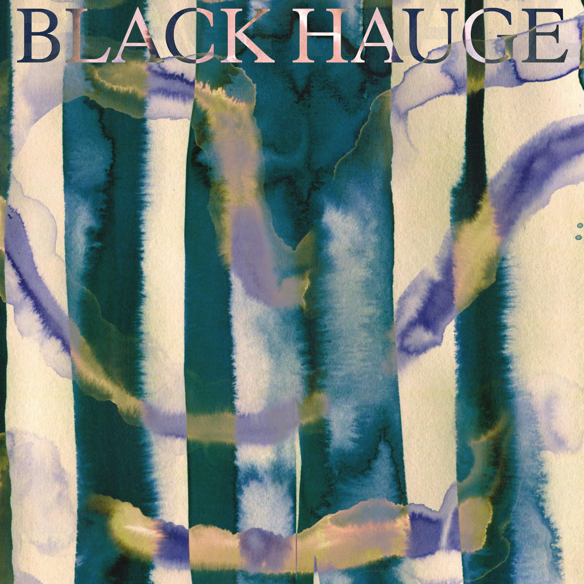 Black Hauge Black Hauge (Vinyl Record) - Walmart.com