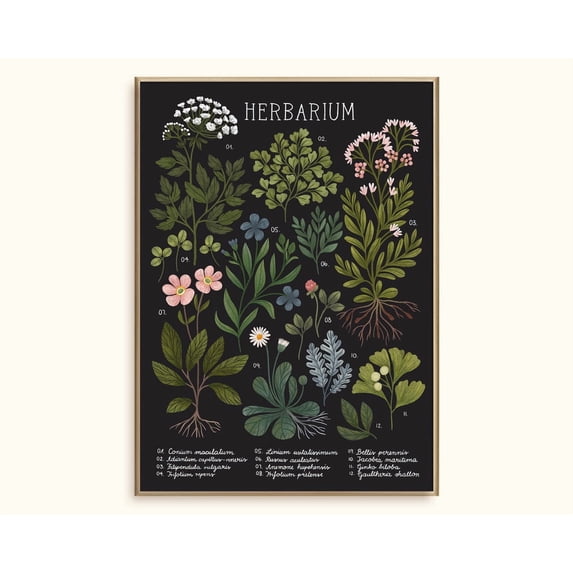 Black Herbarium Art Print, Vintage Floral Illustration, Unframed Paper ...