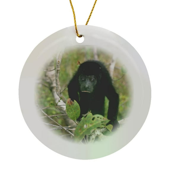 Black Howler Monkey In Tree, Belize - Sa02 Ksc0027 - Kevin Schafer ...