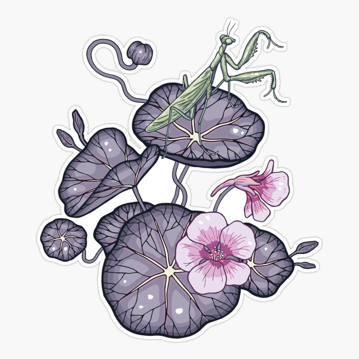 Black Indian Cress Garden Botanical Vinyl Decal Sticker - Walmart.com