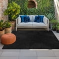 Black Indoor Outdoor Rugs 3x5 Ft, Modern Minimalist Classic Black Solid ...