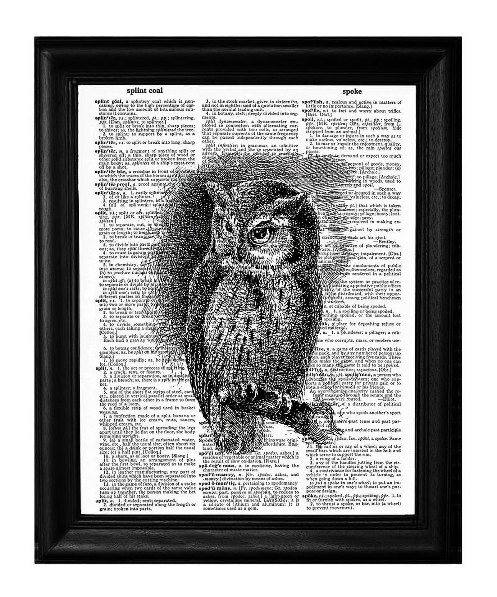 Black Ink Owl - Dictionary Art Print Printed On Authentic Vintage ...