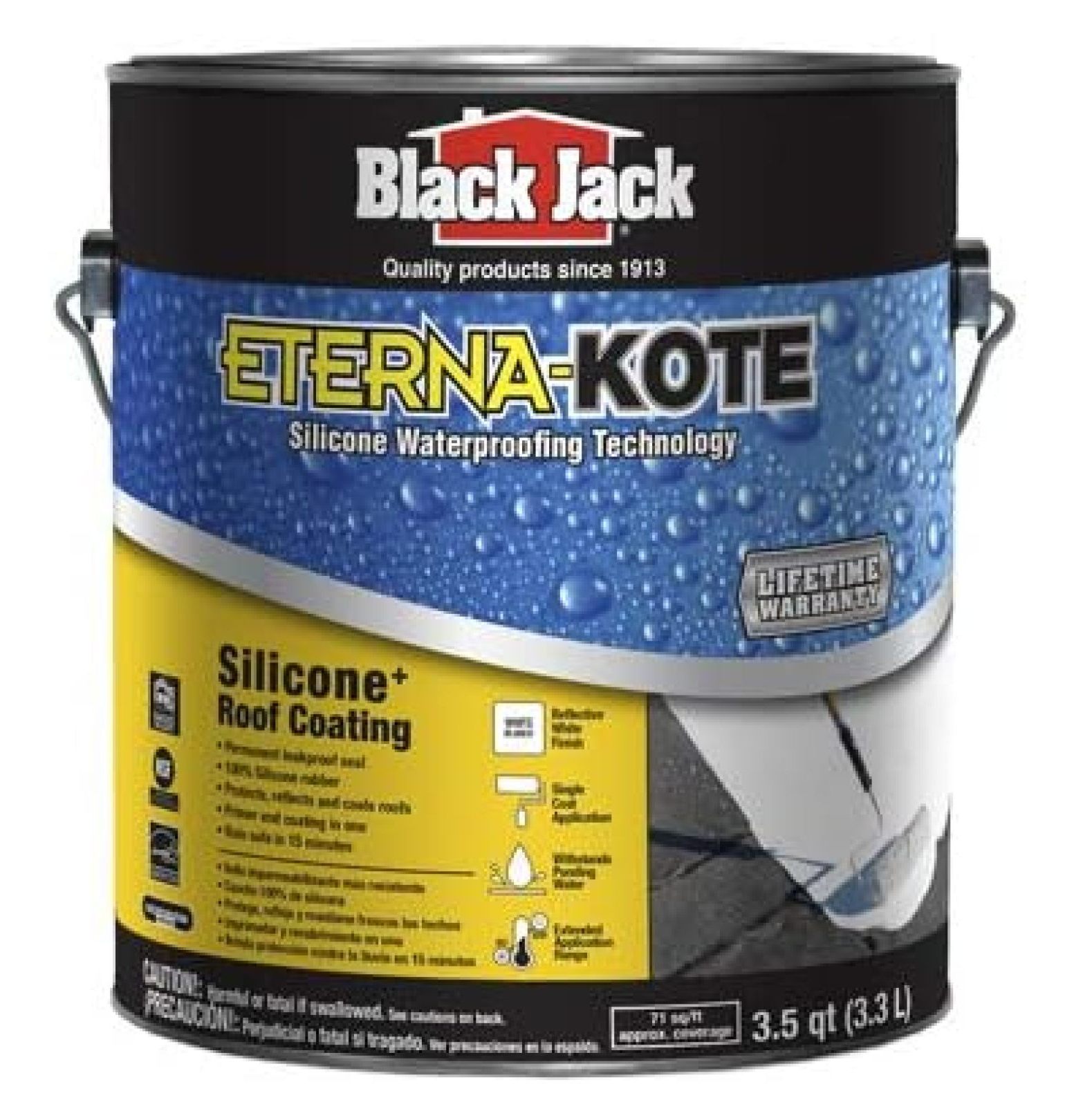 Black Jack Eterna-Kote 100% Silicone+ Roof Coating, White, 1 Gallon ...