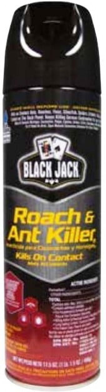 Black Jack Indoor Killing Action Fleas Insecticide Spray, 3 Count ...