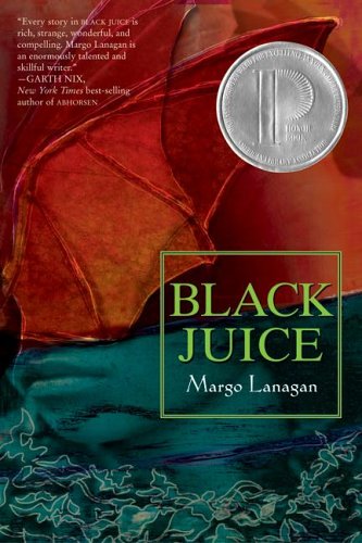 Pre-Owned Black Juice (Library Binding) 9780060743918 - Walmart.com