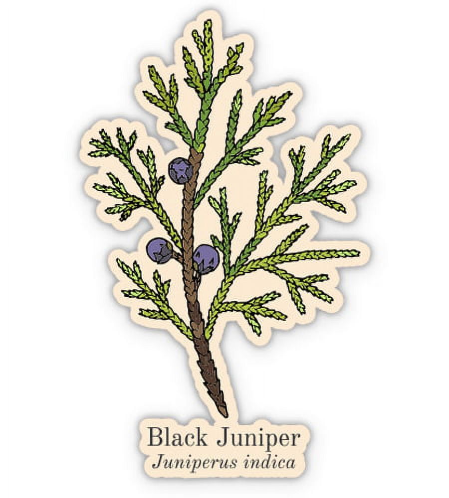 Black Jupiter - 8" Vinyl Sticker - For Car Laptop I-Pad - Waterproof ...