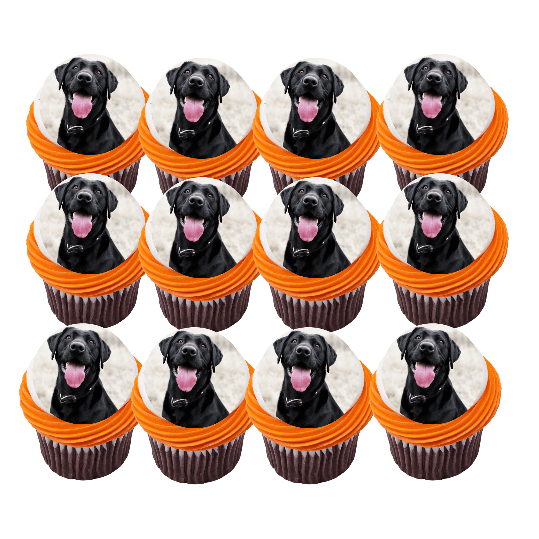Black Lab Dog Face Pet 12 - 2 inch Edible Frosting Photos Cookie ...