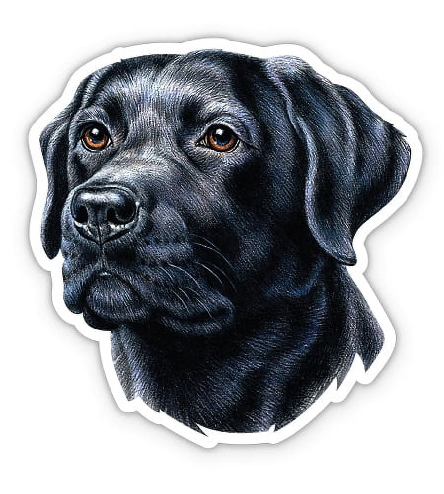 Black Lab - 3" Vinyl Sticker - For Car Laptop I-Pad Phone Helmet Hard ...