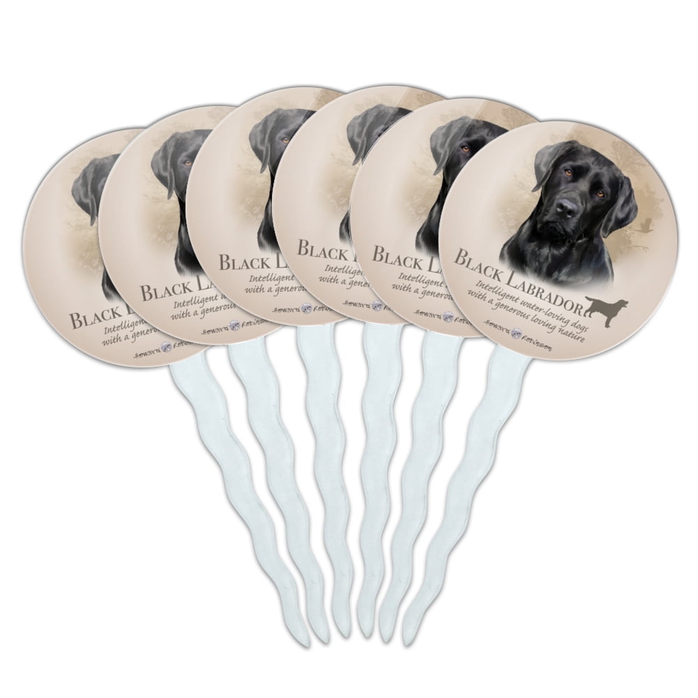 Black Lab Labrador Dog Breed Cupcake Picks Toppers Decoration Set of 6 ...