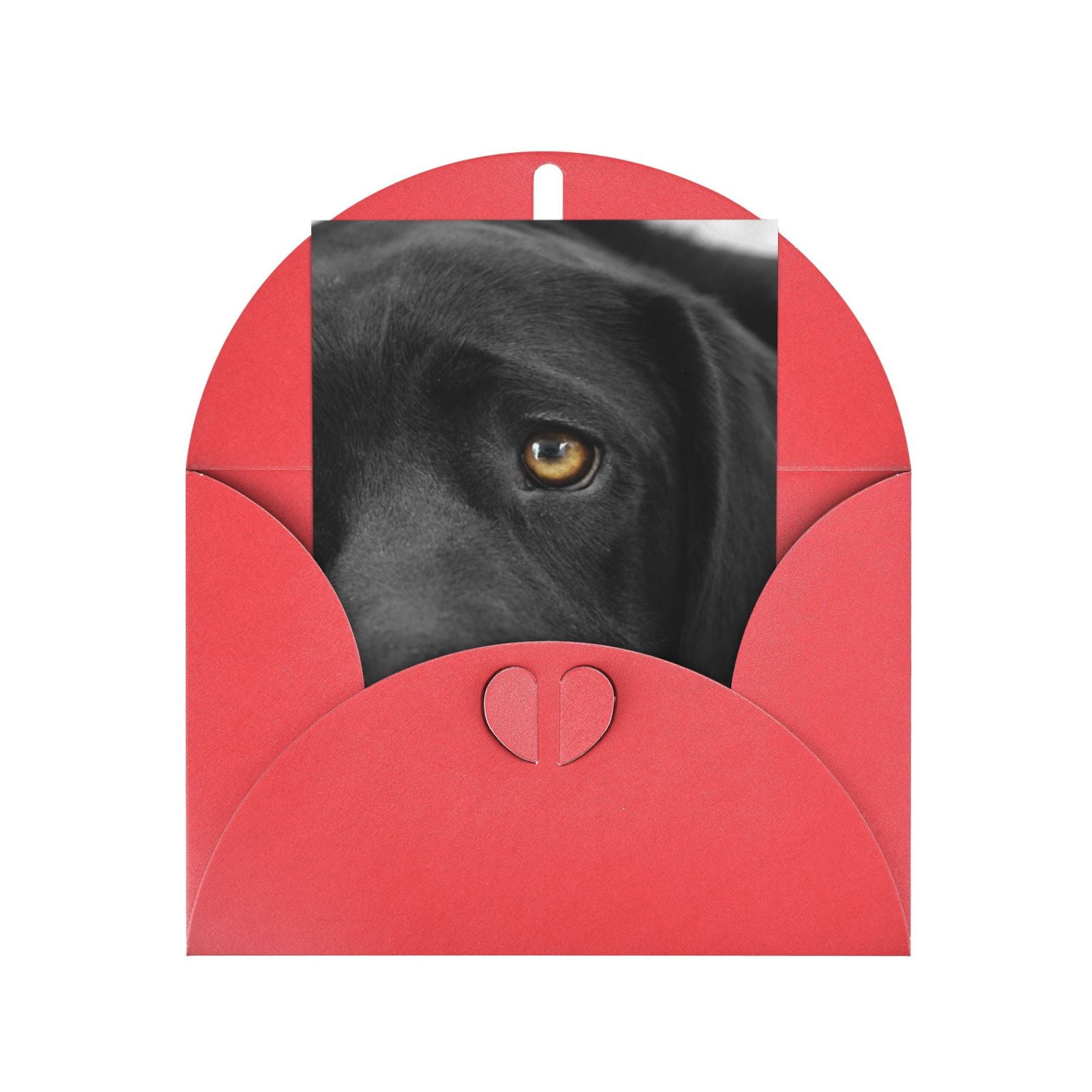Black Lab Labrador Dog Puppy Cute Dog Birthday Cards Blank Cards ...