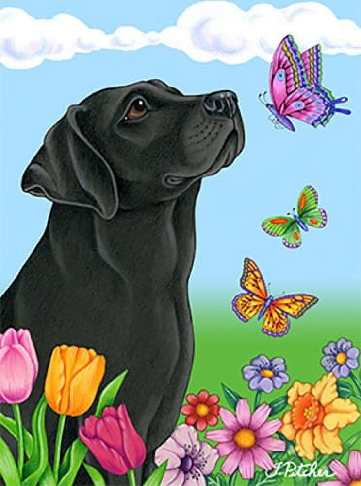 Best of Breed - Black Labrador Butterfly Garden Flag, All Weather, 12 ...