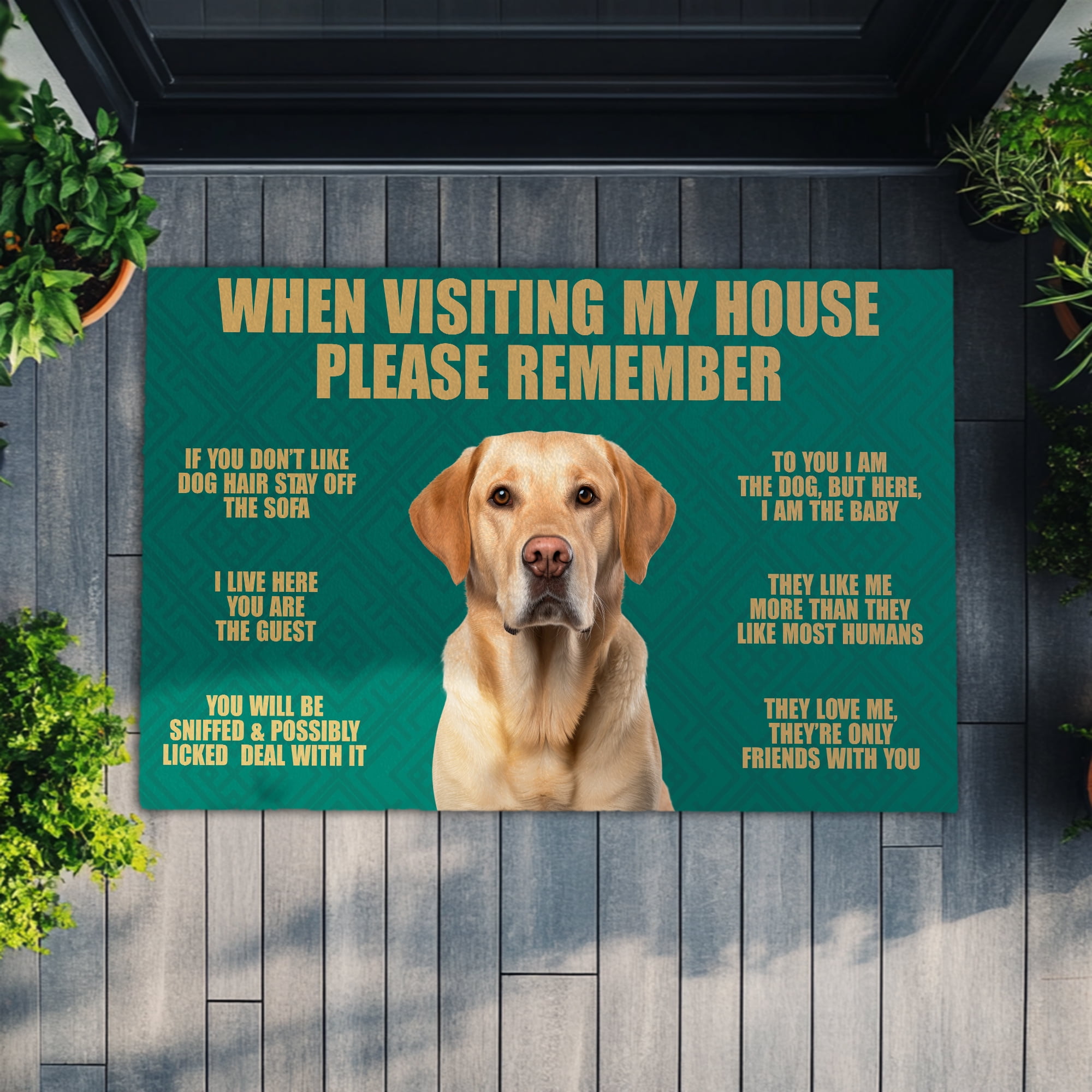 Black Labrador Dog Welcome Doormat – When Visiting My House Please ...