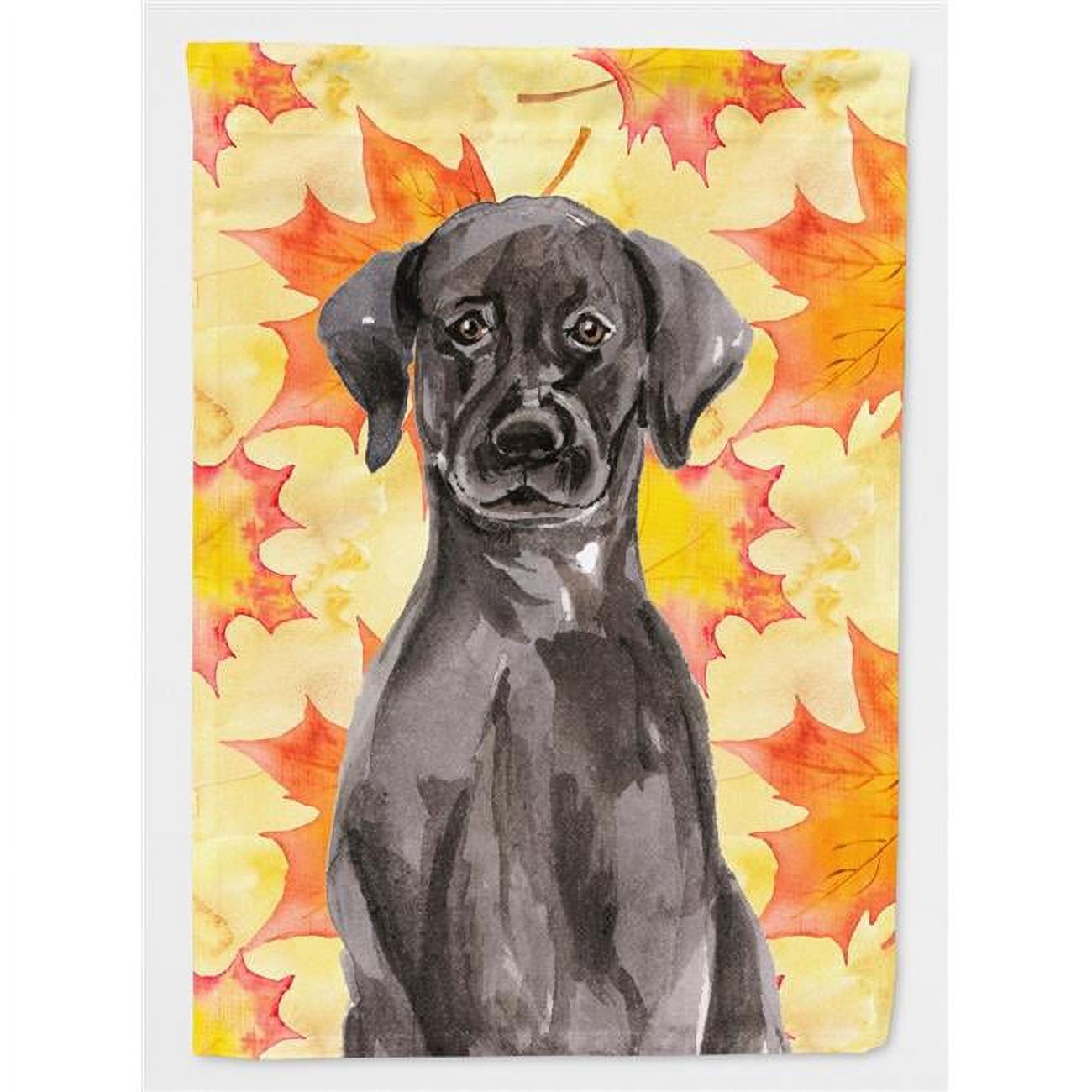 Black Labrador Fall Flag Canvas House - Walmart.com