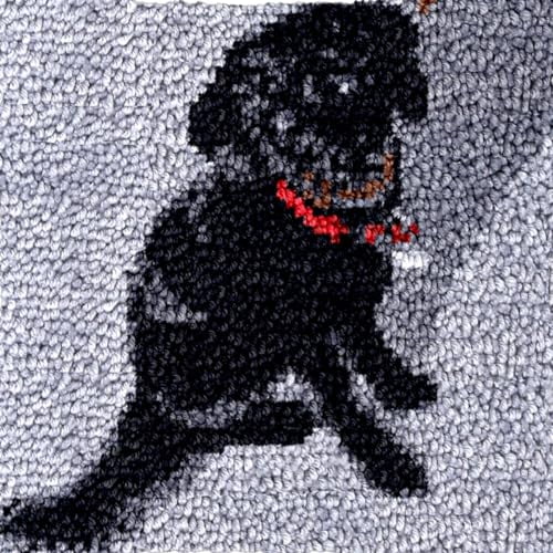 Black Labrador Latch Hook Rug Kit for Adults Easy Carpet Chair Cushion ...