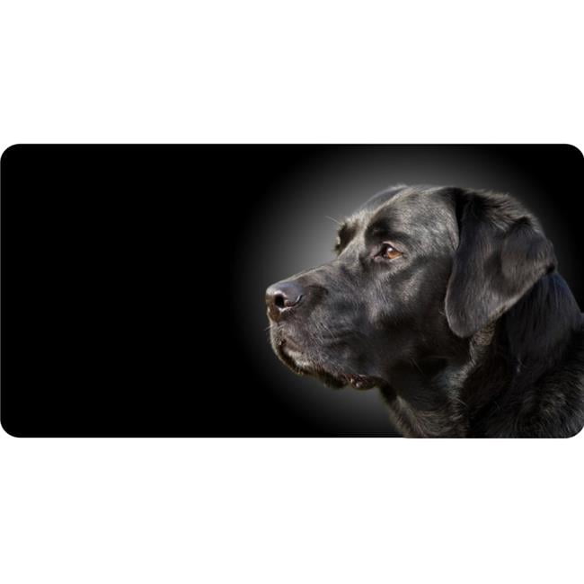 Black Labrador Offset Photo License Plate - Walmart.com