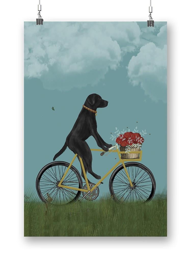 Black Labrador On A Bicycle Poster - Fab Funky Designs, - Walmart.com