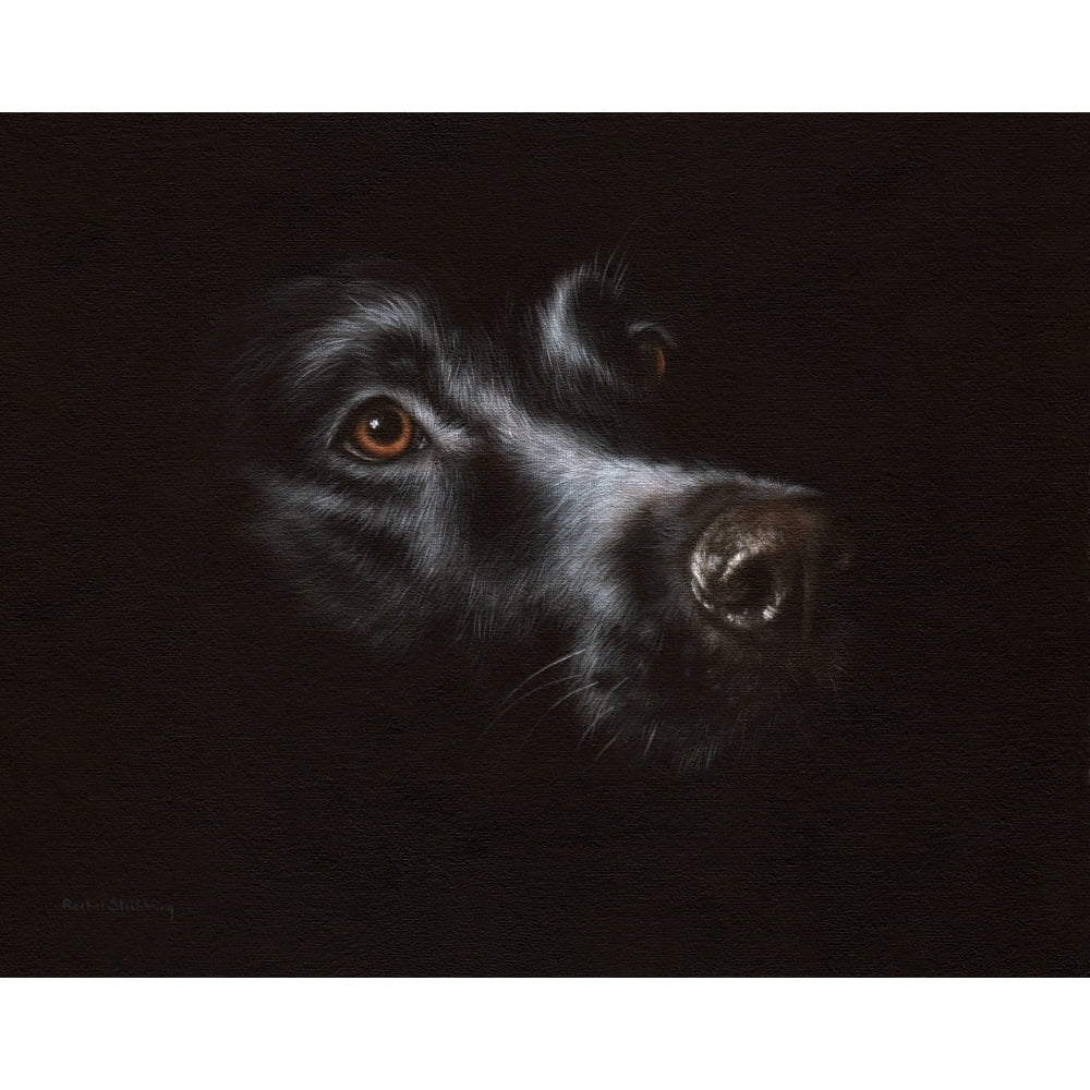 Black Labrador Poster Print by Rachel Stribbling (28 x 22) - Walmart.com