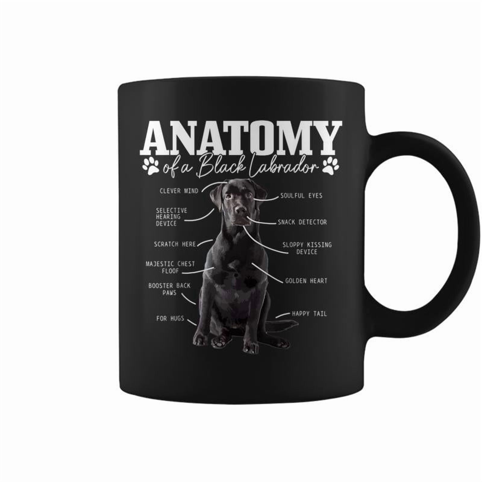 Black Labrador Retriever Anatomy Cute Dog Mom Dad Coffee Mugs - Walmart.com