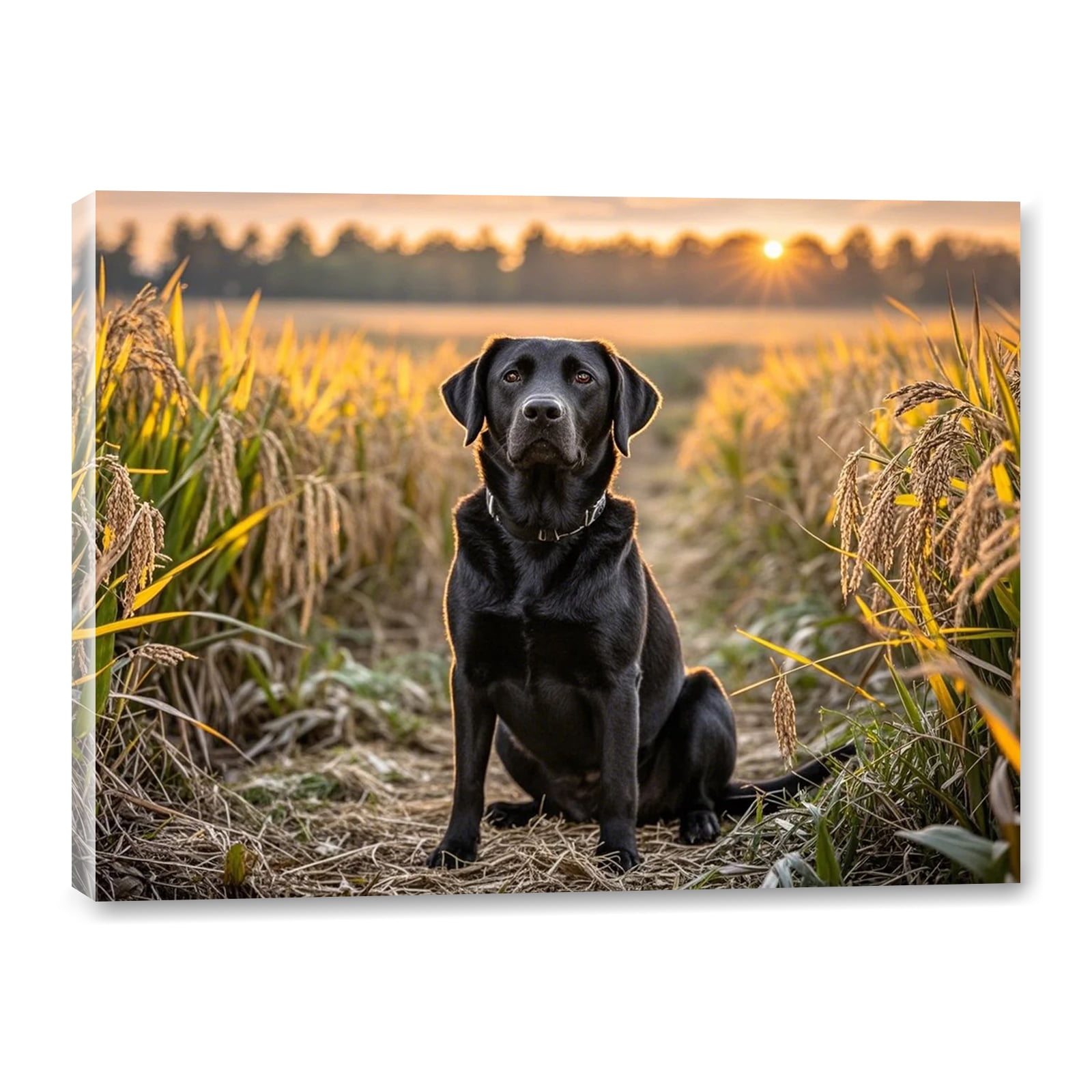 Black Labrador Retriever Canvas Wall Art Framed Canvas Paintings Prints ...