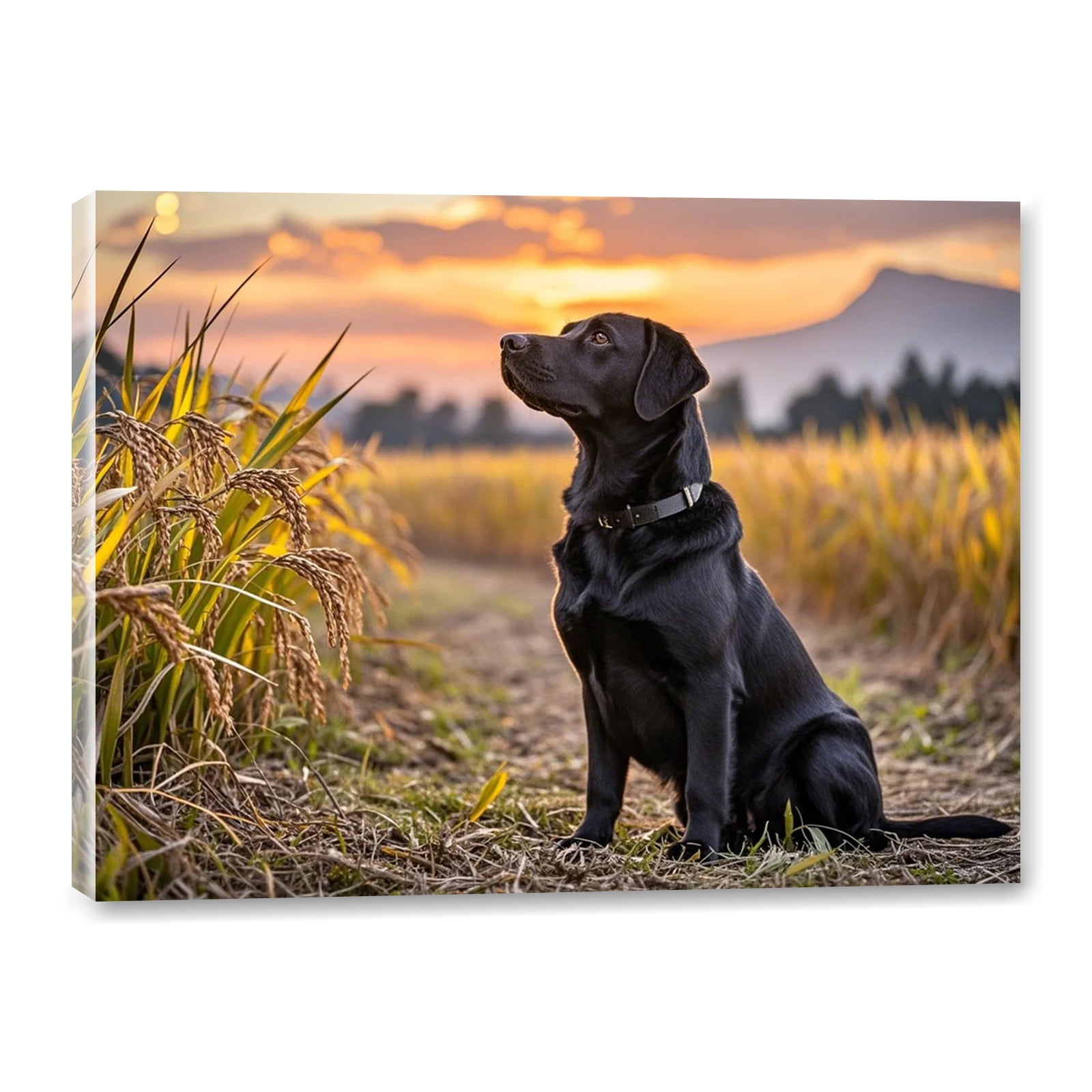 Black Labrador Retriever Canvas Wall Art Framed Canvas Prints Poster ...