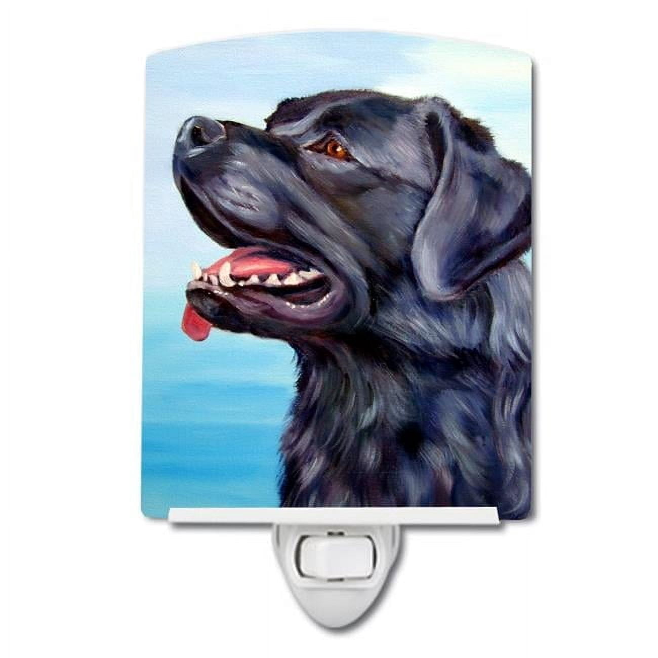 Black Labrador Retriever Ceramic Night Light - Walmart.com