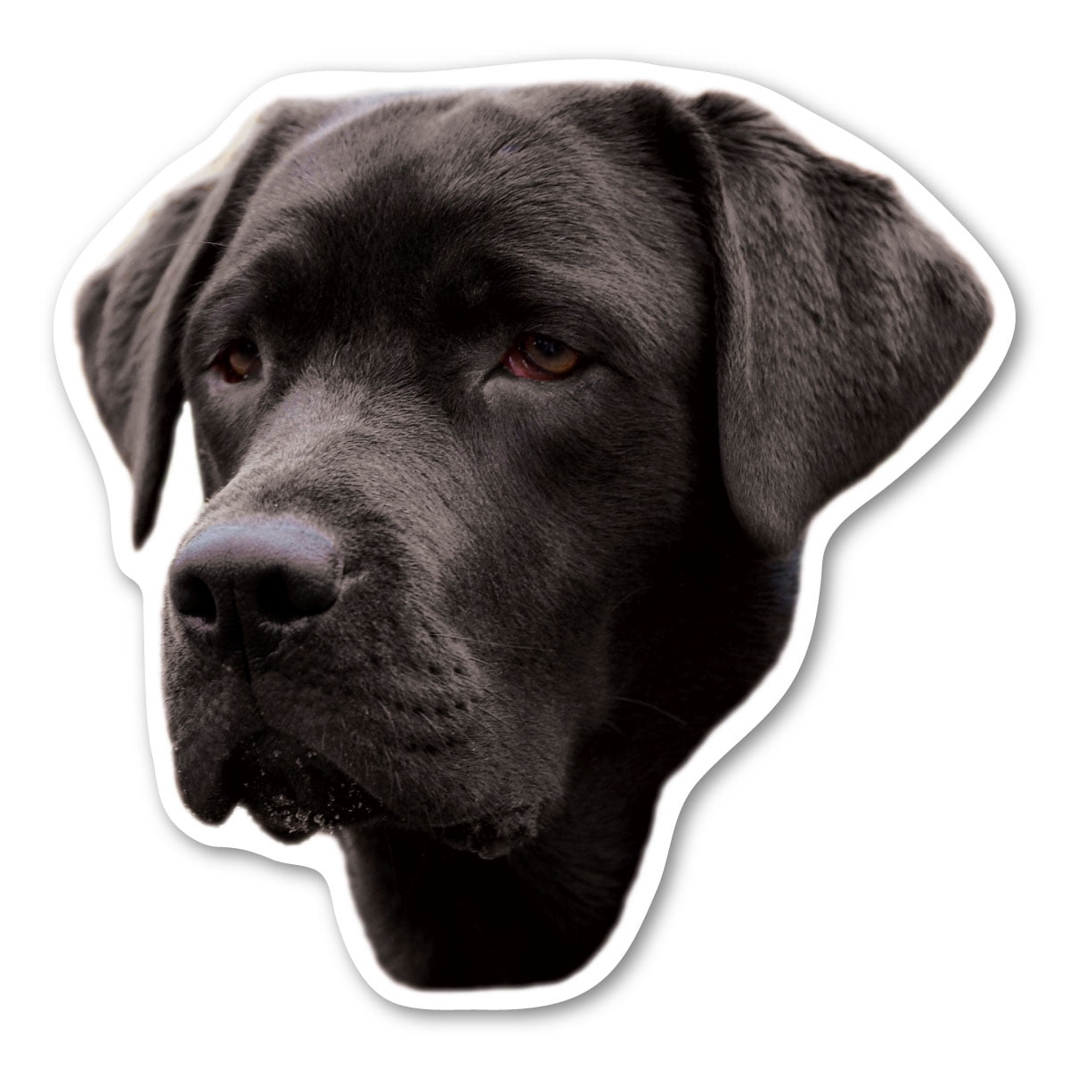 (Black) Labrador Retriever Dog Magnet - Walmart.com