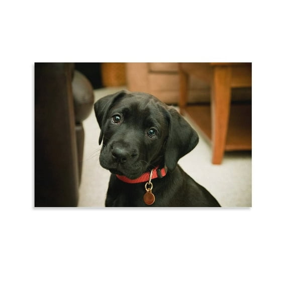 Black Labrador Retriever Puppy Canvas Art Poster and Wall Art Picture ...