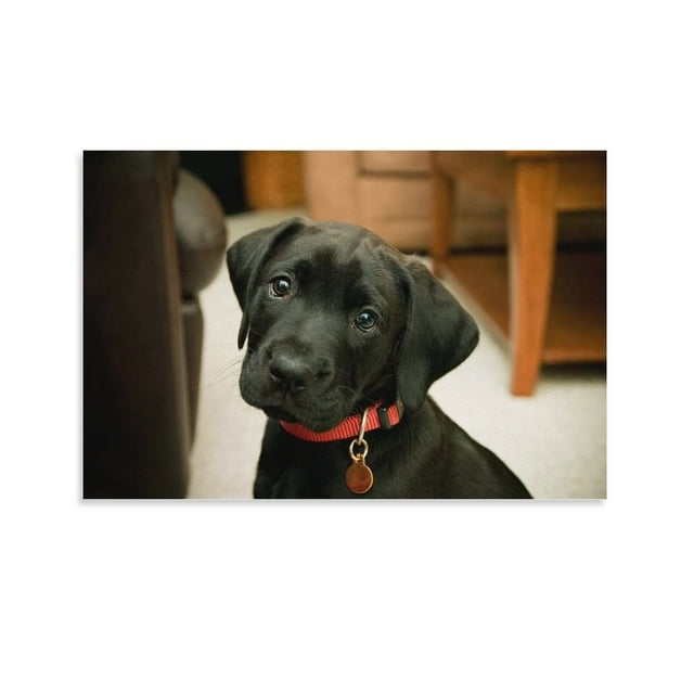 Black Labrador Retriever Puppy Canvas Art Poster and Wall Art Picture ...