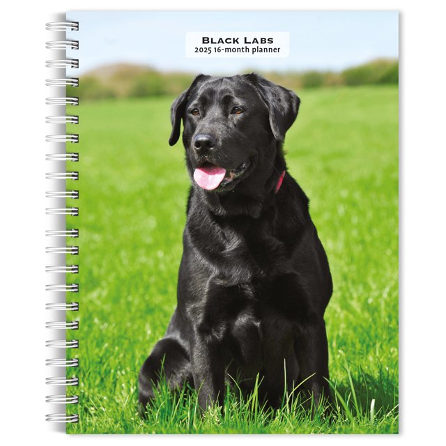 Black Labrador Retrievers | 2025 6x7.75" Engagement Planner Calendar ...