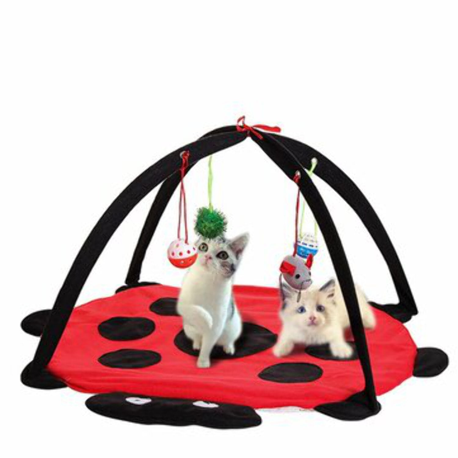 Black Ladybug Cat Play Mat - Walmart.com