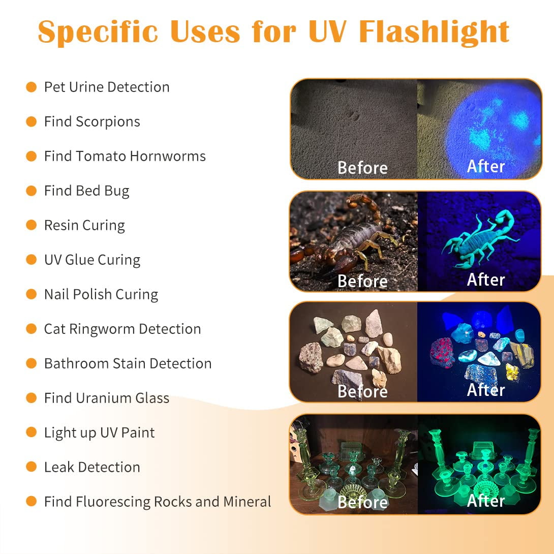 Black Light UV Light, 21 LED 395nm UV Flashlight, Powerful Mini ...