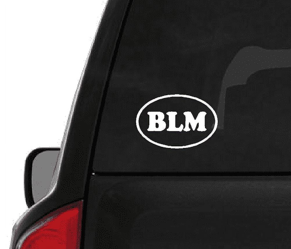 Black Lives Matter (M77) BLM Circle Vinyl Decal Sticker Car Window ...