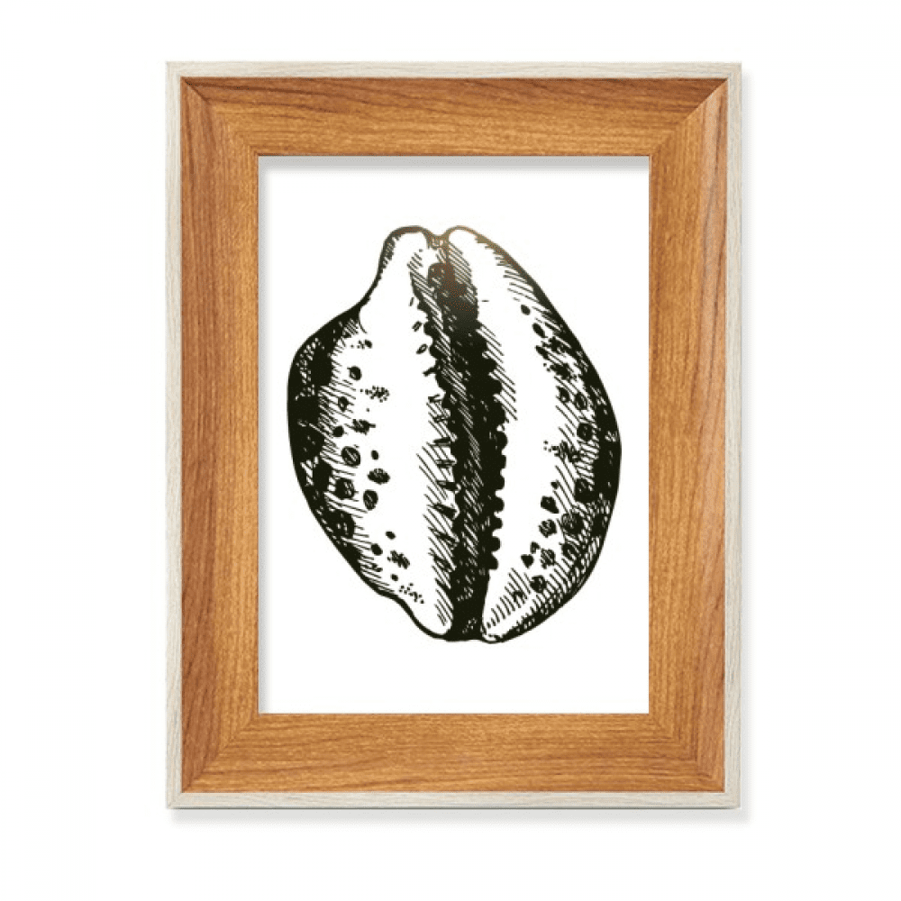 Black Marine Life Scallop Pattern Desktop Wooden Photo Frame Display ...