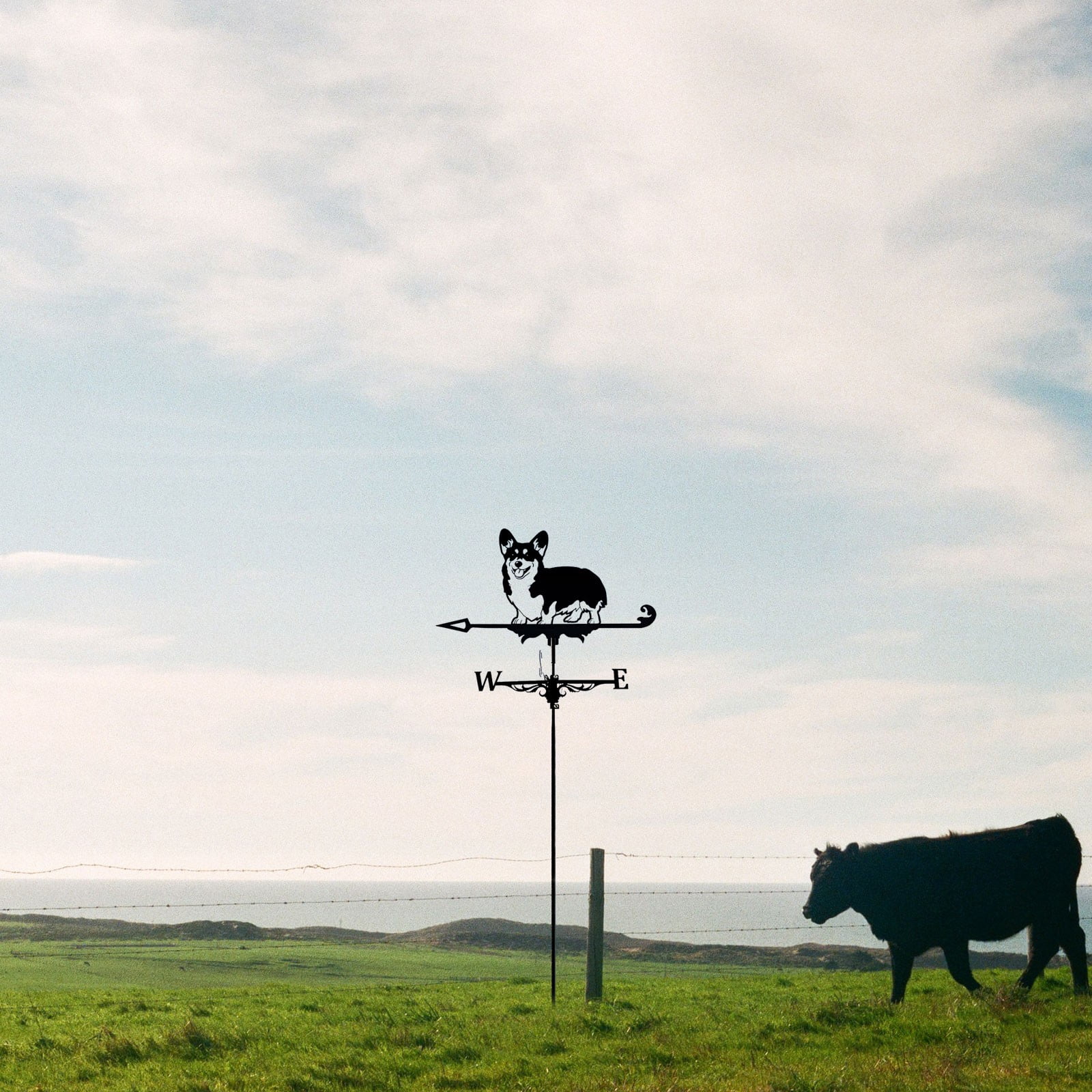 Black Metal Corgi Weathervane for Outdoor Roof Mount - Vintage Iron ...