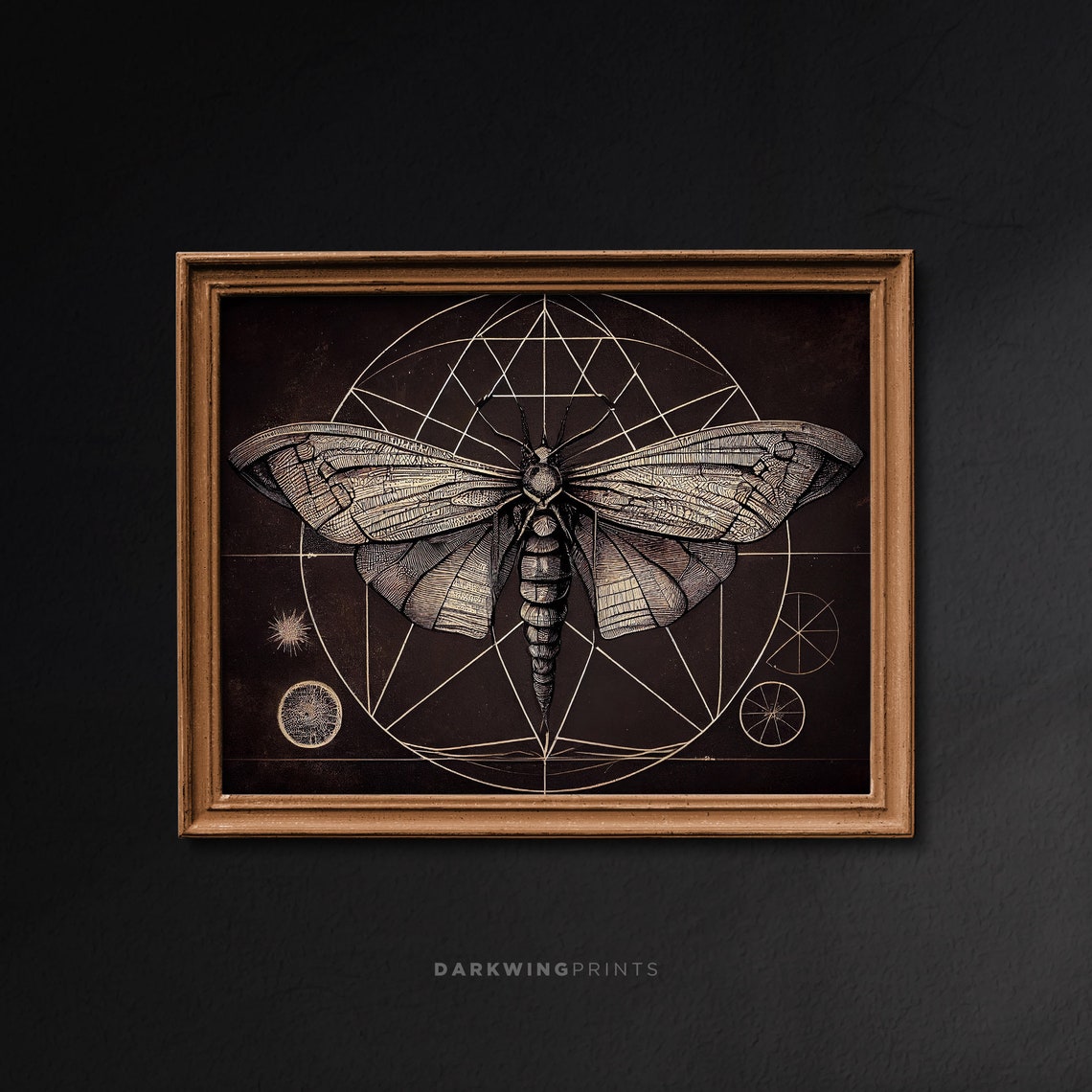 Black Moth Mythology Print, Vintage Butterfly, Ancient Art, Dark Prints ...
